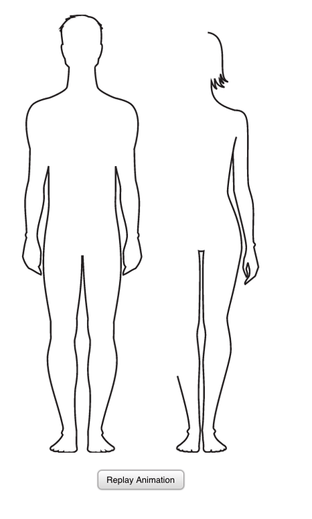 Libraries for simulating line drawing - Using JavaScript with Hype - Tumult Forums