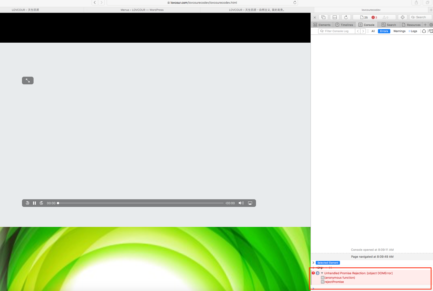 Unhandled Promise Rejection Object Domerror Tumult Forums 