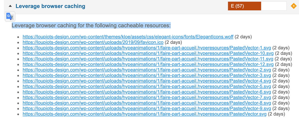 Leverage browser caching on wordpress on .htaccess file with plugin hype animation - Tumult Forums